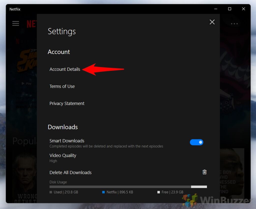 How to Change the Language on Netflix - WinBuzzer
