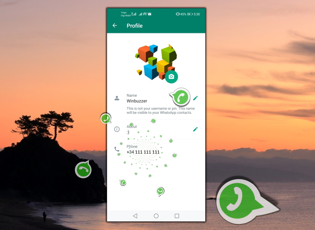 How to Check Your WhatsApp Number